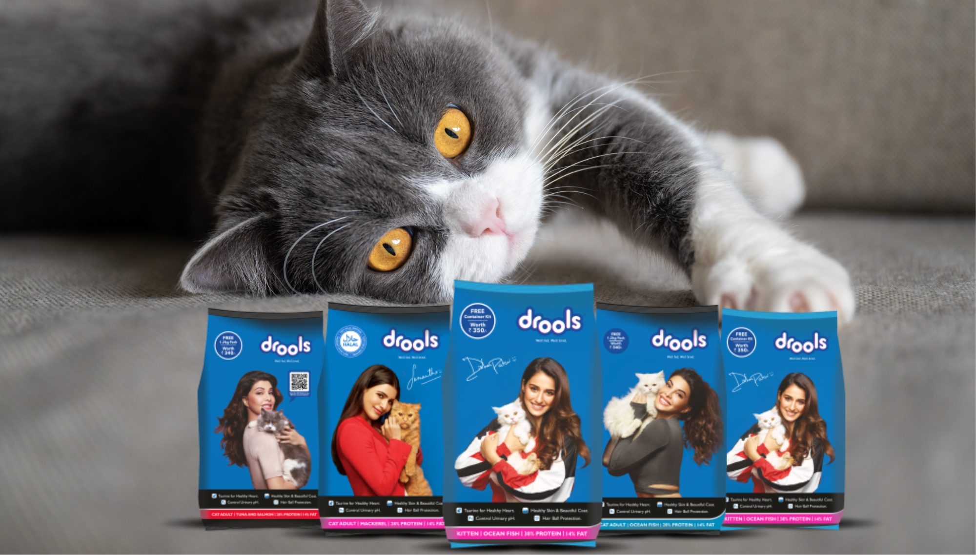 Charting Drools India's Rise: Insights from CEO Dr. Shashank Sinha | PETBIZ INDIA