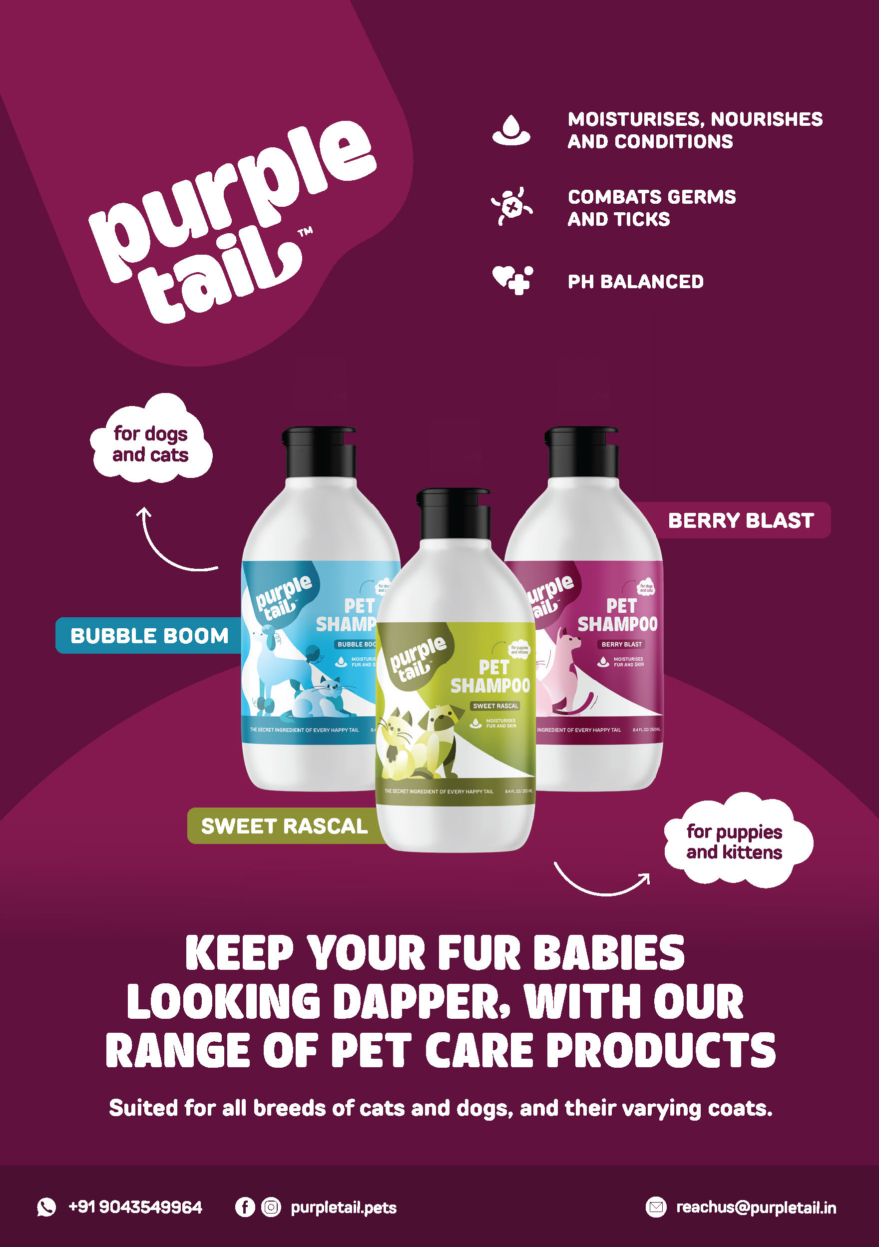 Purple Tail: Quality Pet Biscuits, Shampoos & More on Budget | PETBIZ INDIA